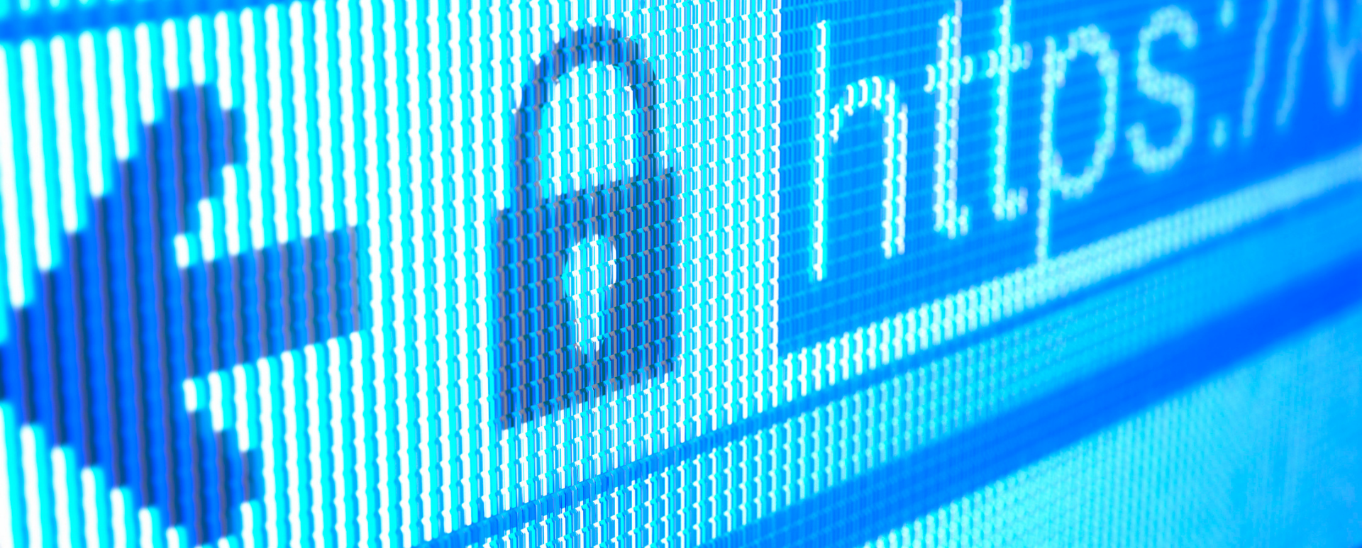 What is OWASP ZAP and what are its key features? | Droptica